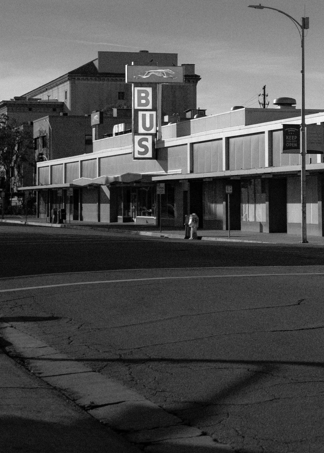 Shareholder Meetings and Freedom Rides: The Story of Peck v. Greyhound ...